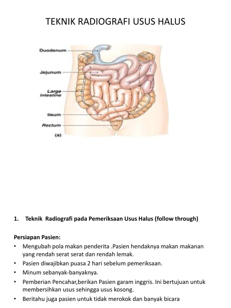 Teknik Radiografi Usus Halus | PDF | Ilmu Sosial