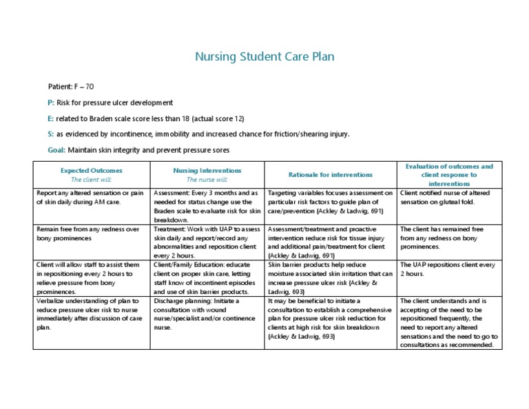 Resume Nursing Student Care Plan | PDF | Health Care | Medicine