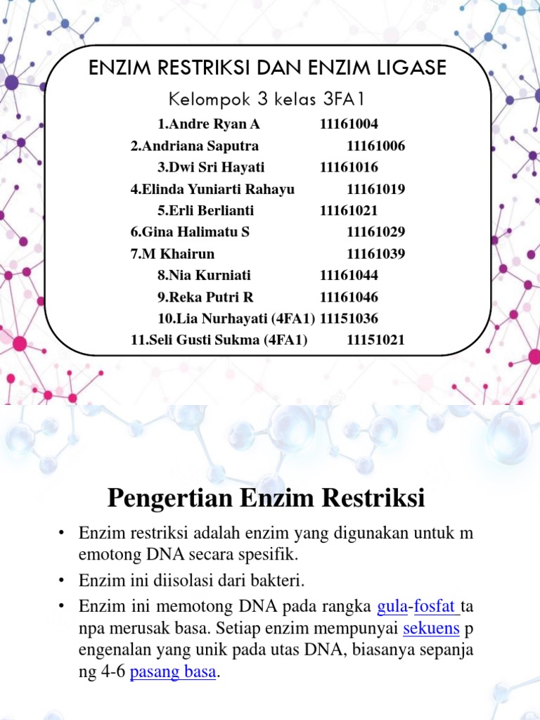 Enzim Restriksi & Ligase - Kel 3 - 3FA1 Fixx Baruu | PDF | Sains ...