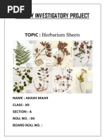 Herbarium Format Project | PDF | Botany | Plants