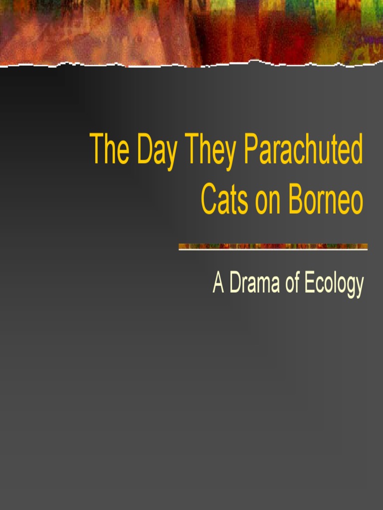 Parachuting Cats: Borneo's Ecology Drama | PDF