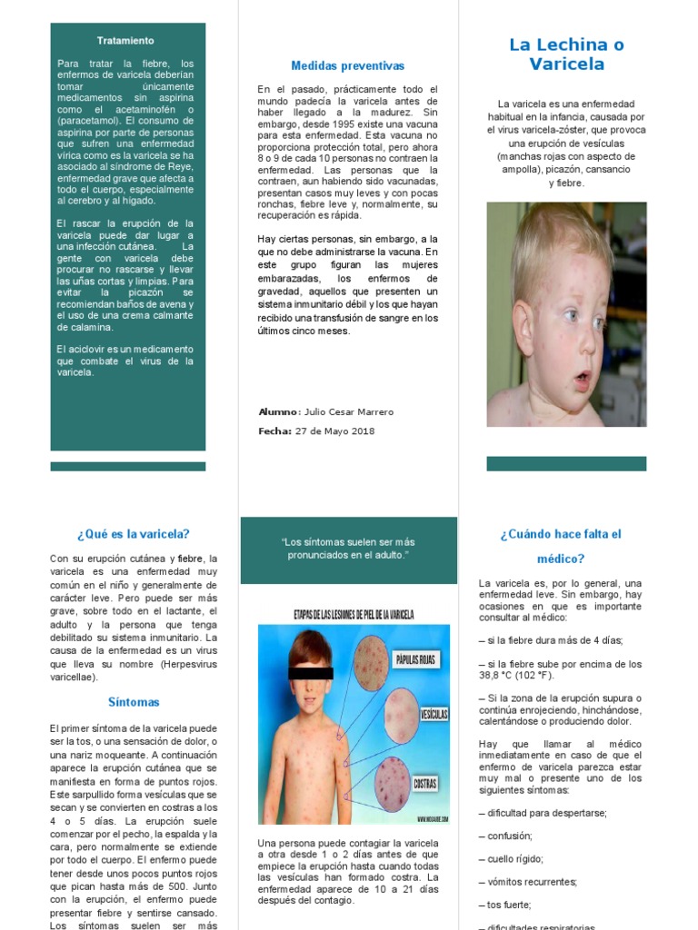 Triptico Lechina | PDF | Microbiología | Salud pública