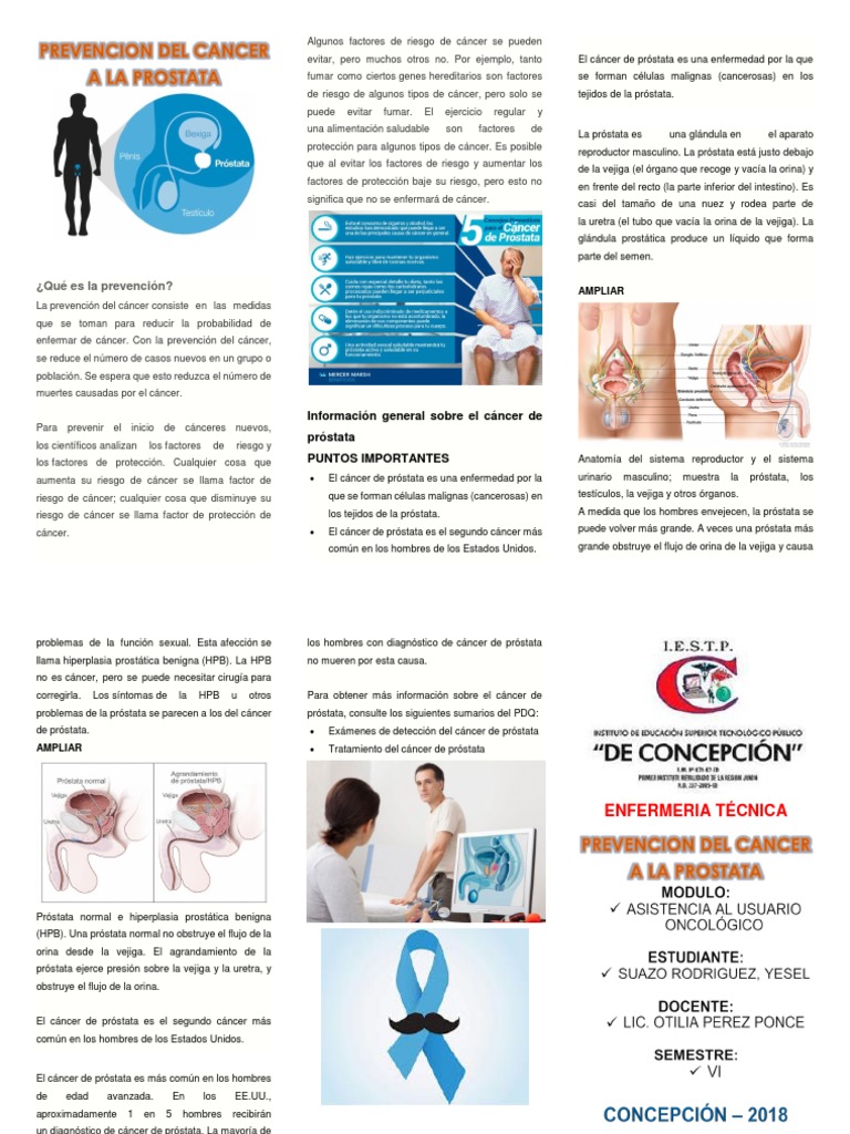 Triptico Prevencion Del Cancer A La Prostata | PDF | Cancer de prostata ...