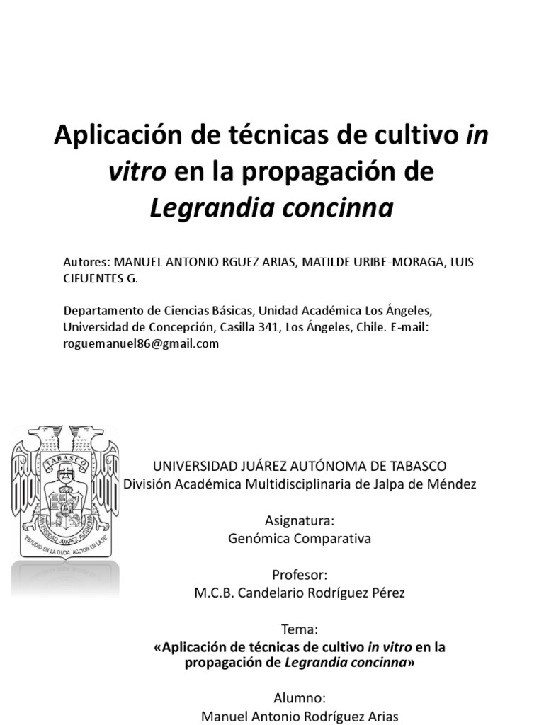 Aplicación de Técnicas de Cultivo in Vitro en La Propagación de ...