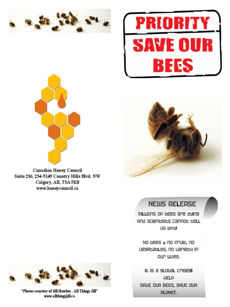 Save Our Bees Campaign Overview | PDF | Honey Bee | Beekeeping