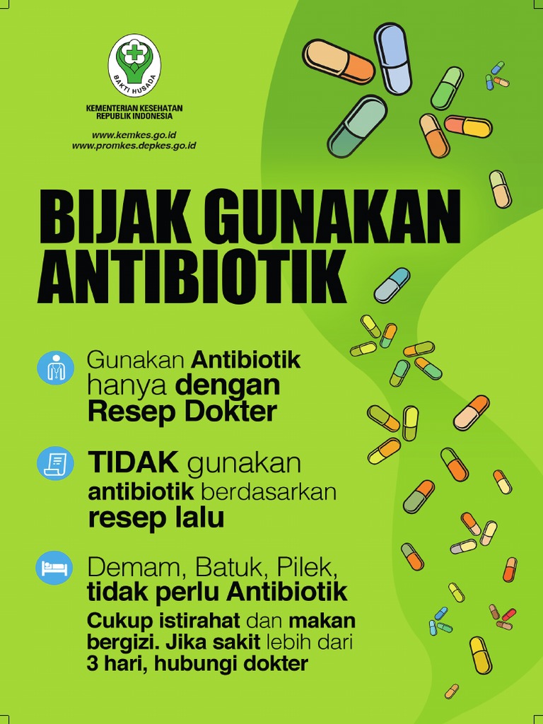 Flyer Antibiotik 15x21cm | PDF