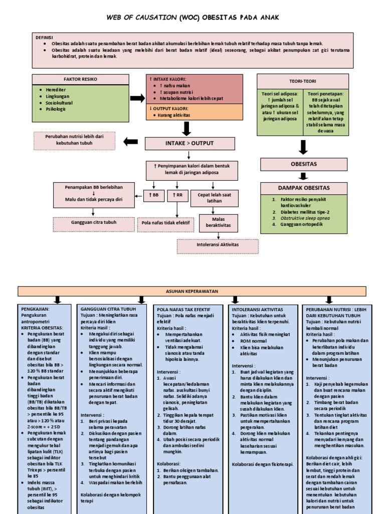 WOC Obesitas Pada Anak | PDF