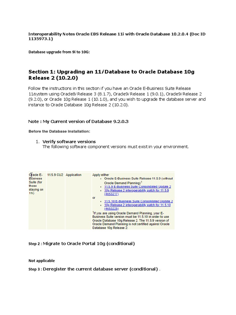 Oracle EBS 11i to 10g Upgrade Guide | PDF | Oracle Database | Databases