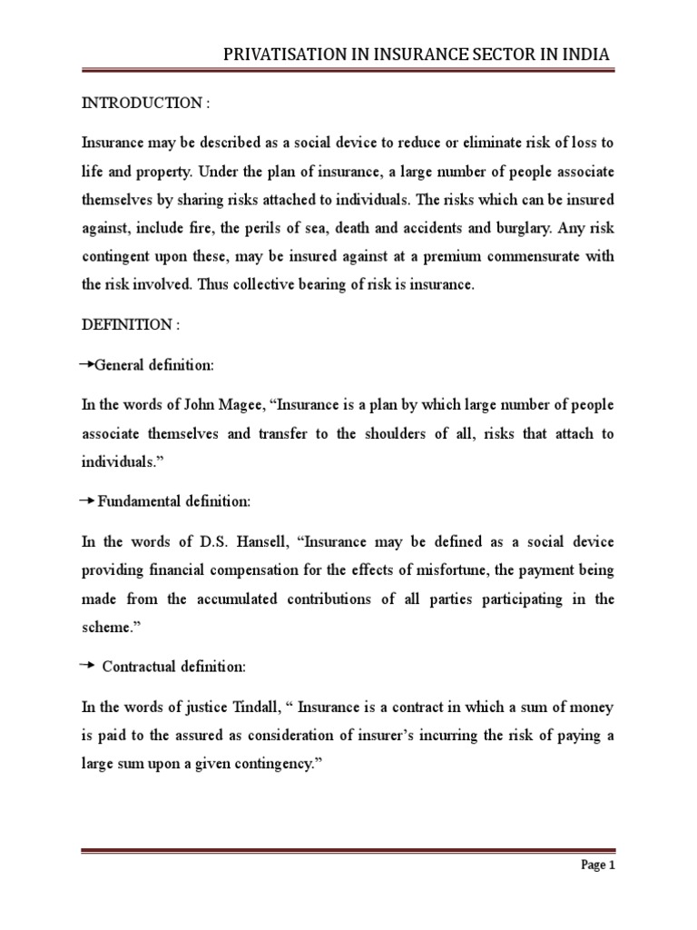 Privatization of Insurance | PDF | Asset Backed Security | Privatization
