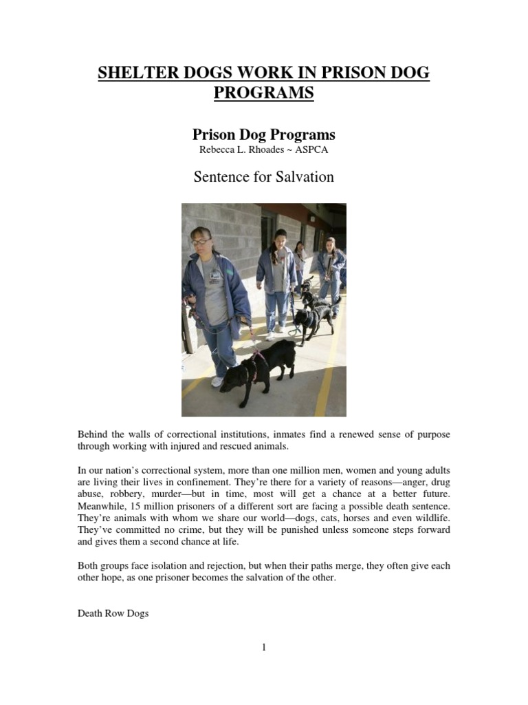 Shelter Dogs Work in Prison Dog Programs | PDF | Prison | Dogs
