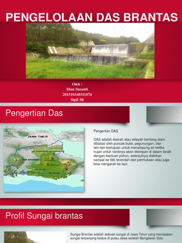 Pengelolaan DAS Brantas di Jawa Timur | PDF | Sains & Matematika
