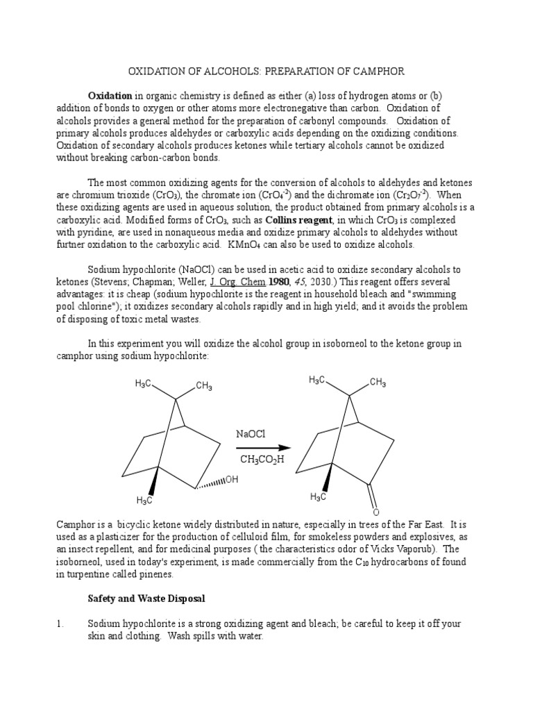 Preparation of Camphor | PDF | Alcohol | Aldehyde