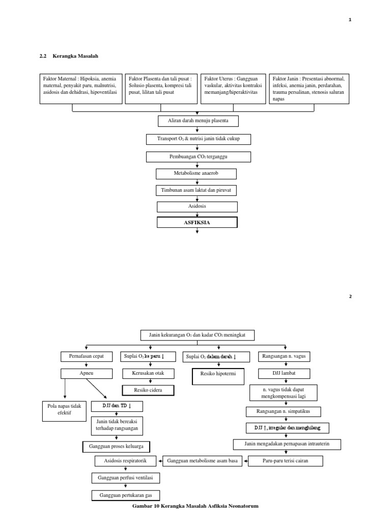 Pathway ASFIKSIA NEONATORUM | PDF