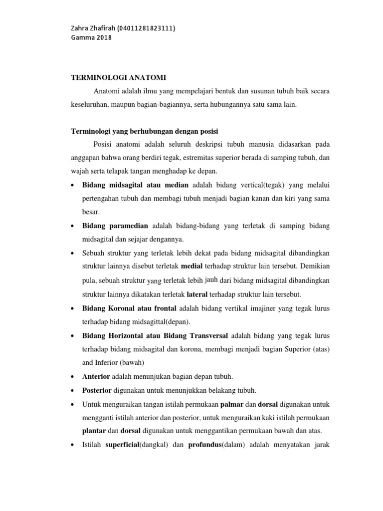 Terminologi Anatomi | PDF