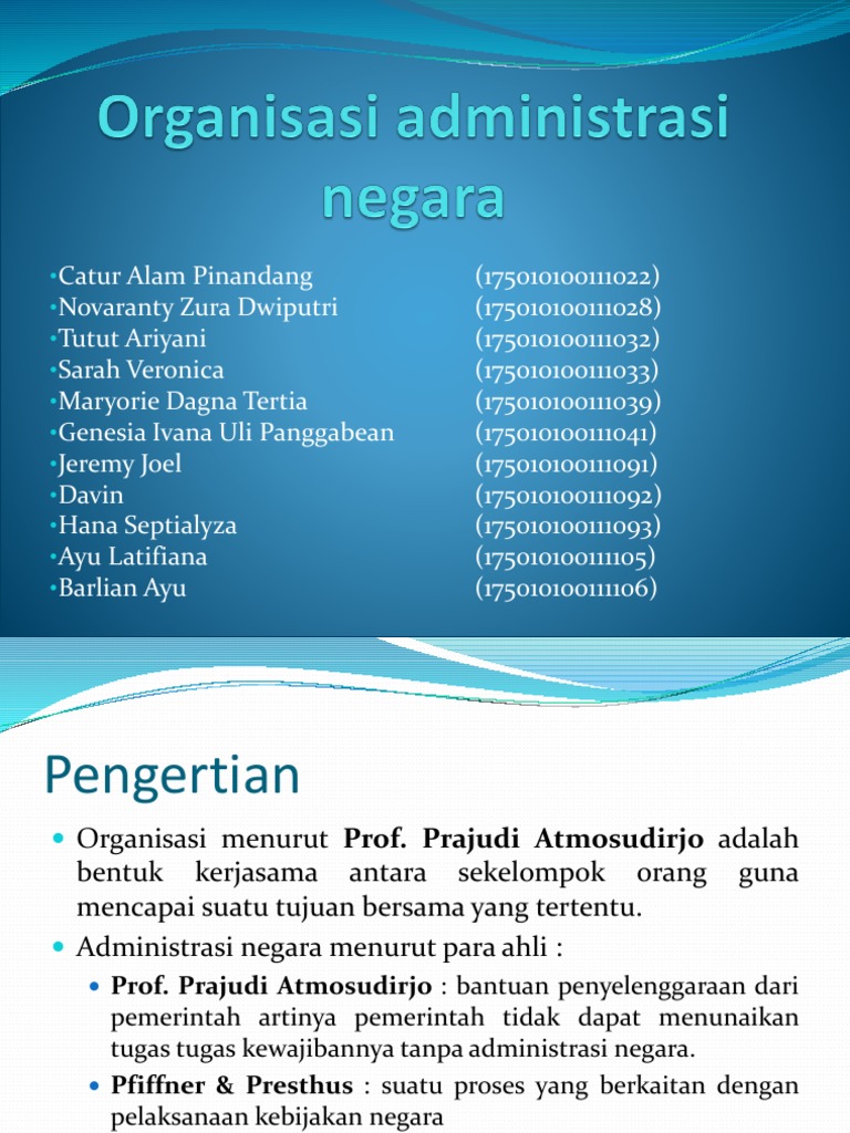 Organisasi Administrasi Negara | PDF | Politik | Ilmu Sosial