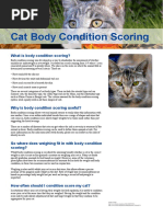 Royal Canin Body Condition Score Charts | PDF | Abdomen | Pelvis