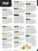 Essential Oils and Aromatics - A Step-by-Step Guide For Use in Massage ...