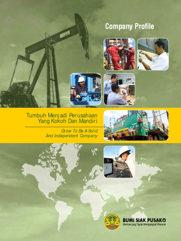 BSP Company Profile | PDF