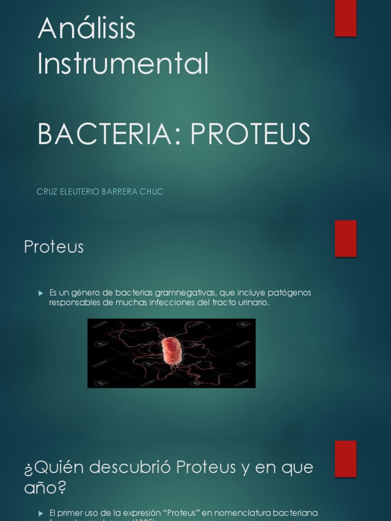 MiSCORE | PDF | Las bacterias | Biología