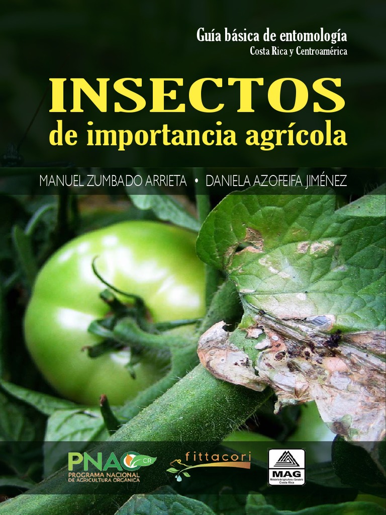Insectos de Importancia Agricola | PDF | Insectos | Mosca