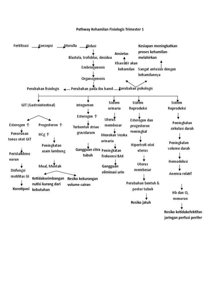 Pathway Kehamilan Trimester 1 Fisiologis | PDF