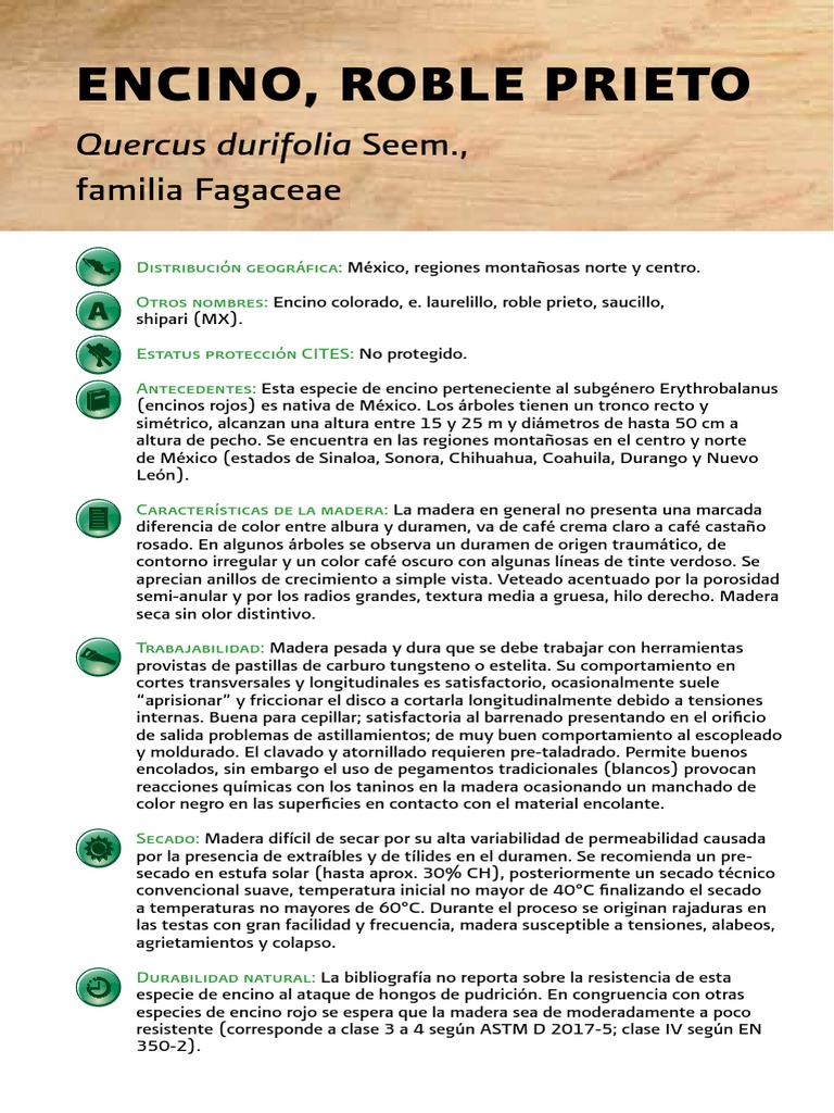 Características del Encino Prieto | PDF | Roble | Madera