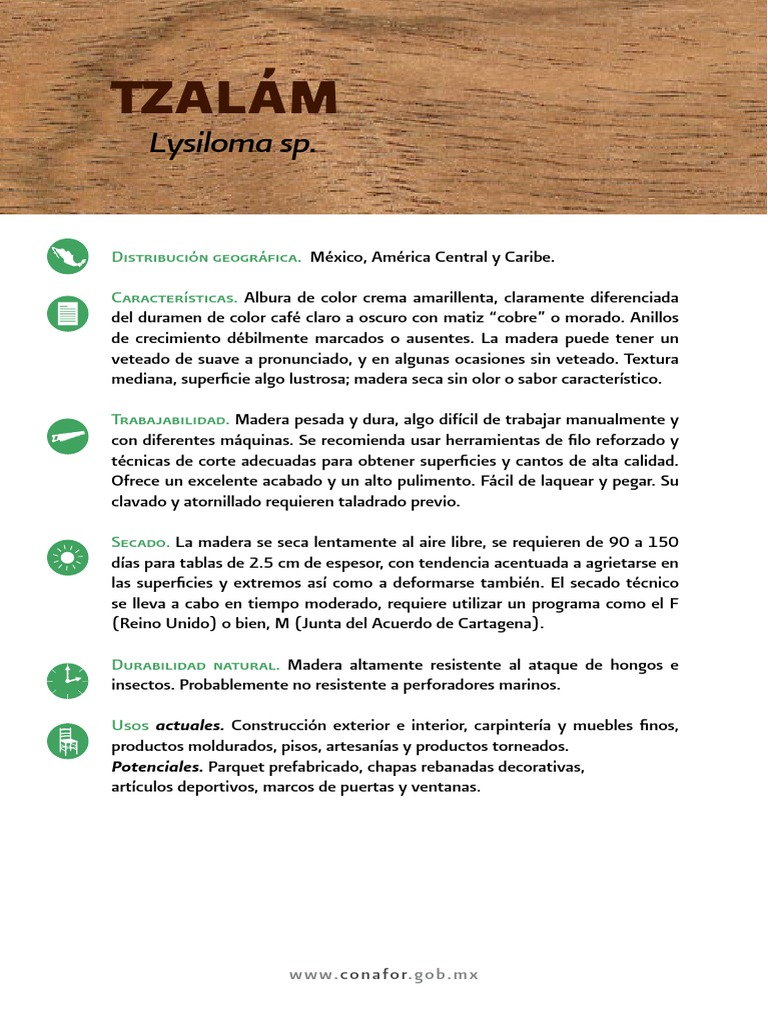 Tzalám | PDF | Madera | Ingeniería de Edificación