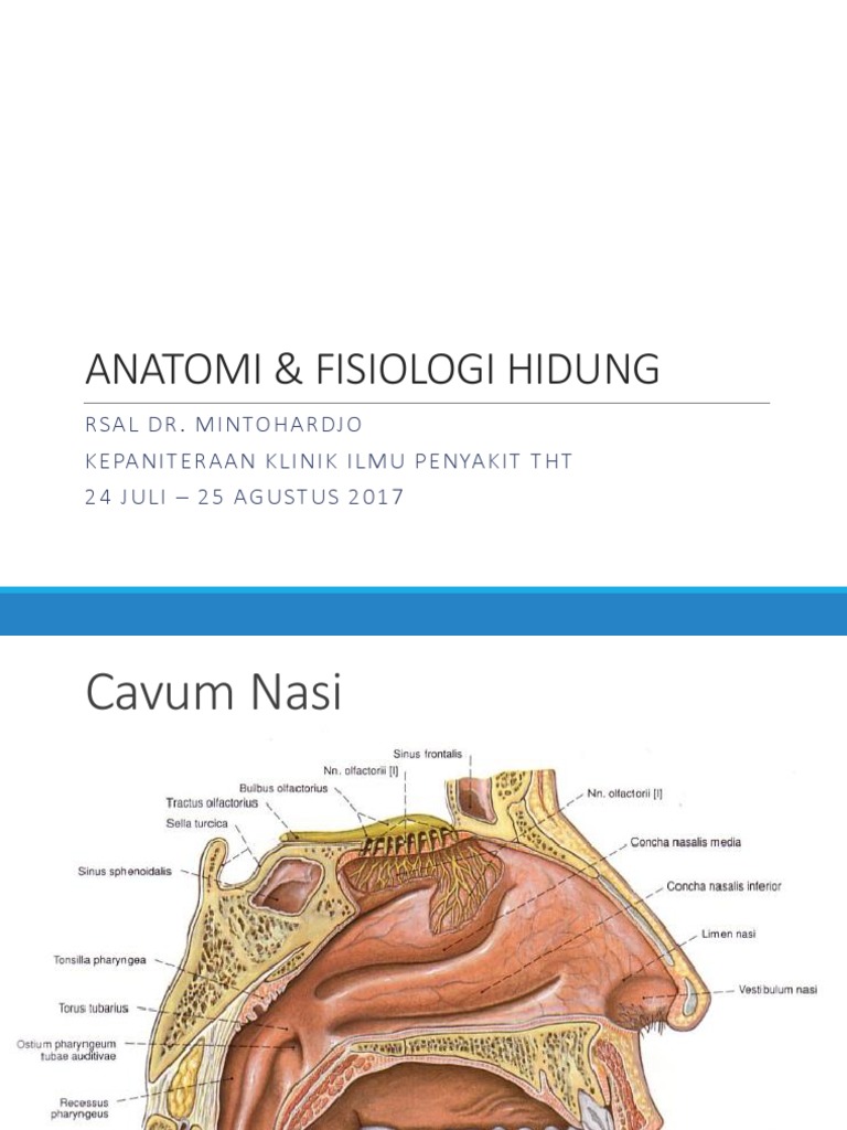 Anatomi dan Fisiologi Hidung Manusia | PDF