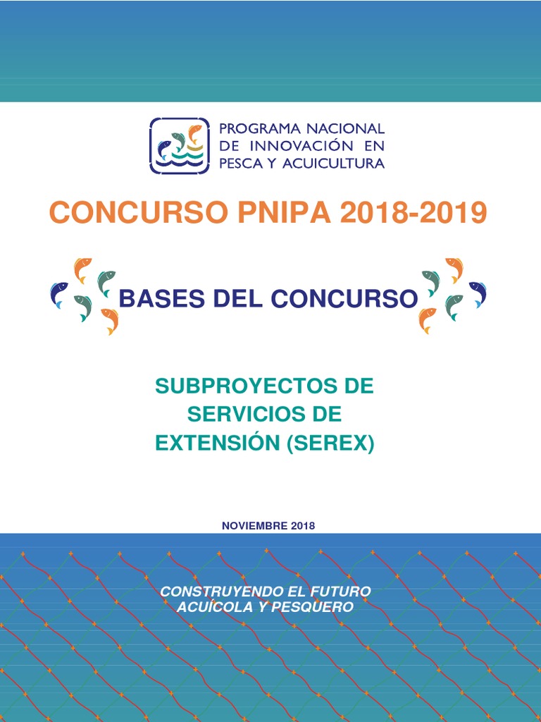 Bases_Concurso_-PNIPA_-2018-2019_SEREX