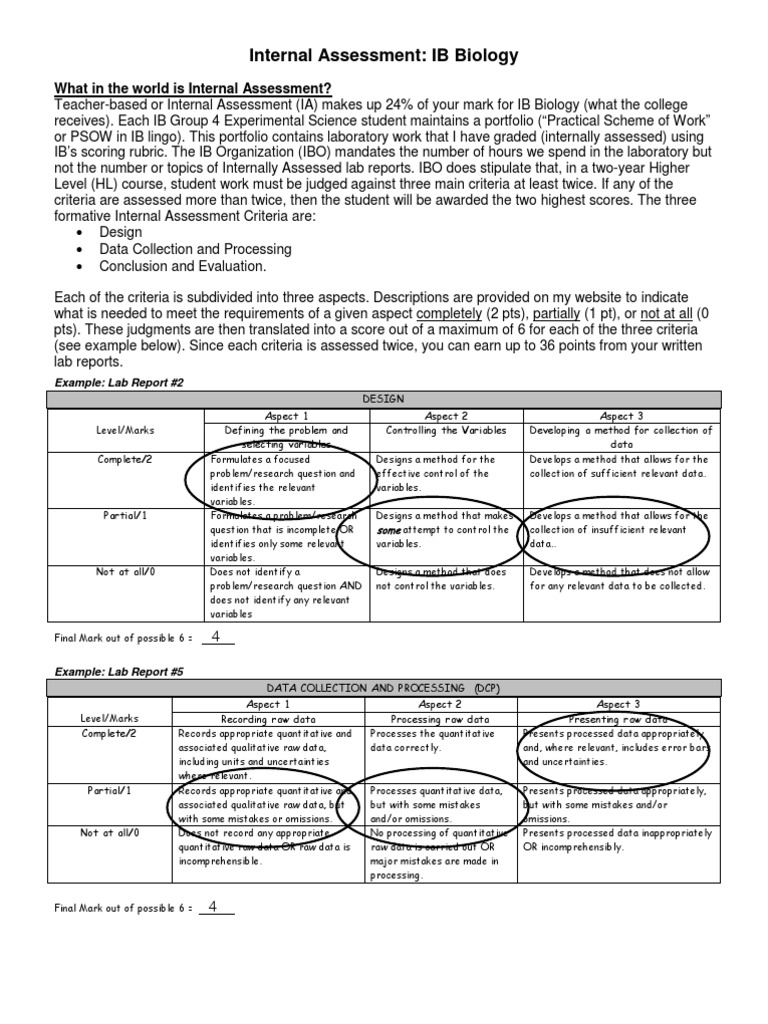 Internal External Assessment | PDF | Quantitative Research | Test ...