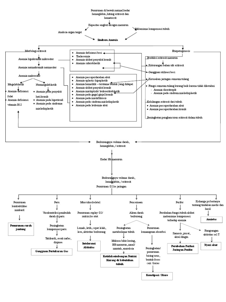 Anemia WOC Aseli | PDF