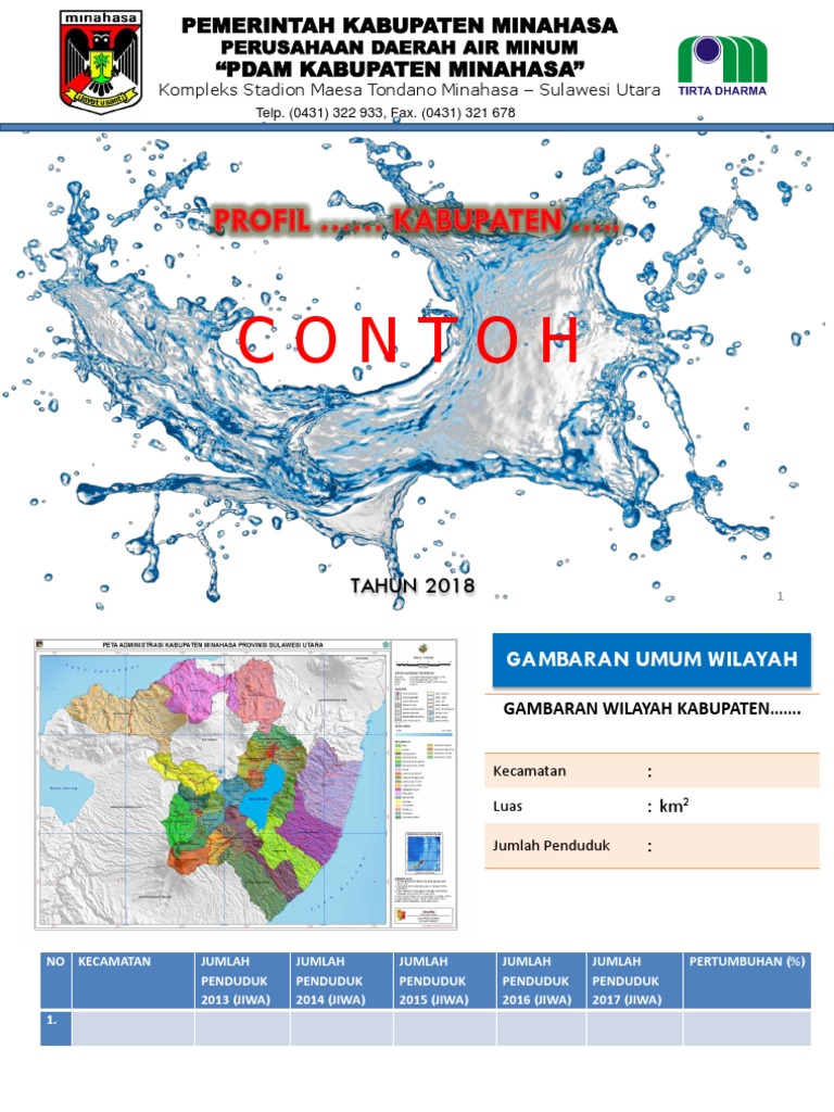 01.profil Pdam Kota Contoh | PDF