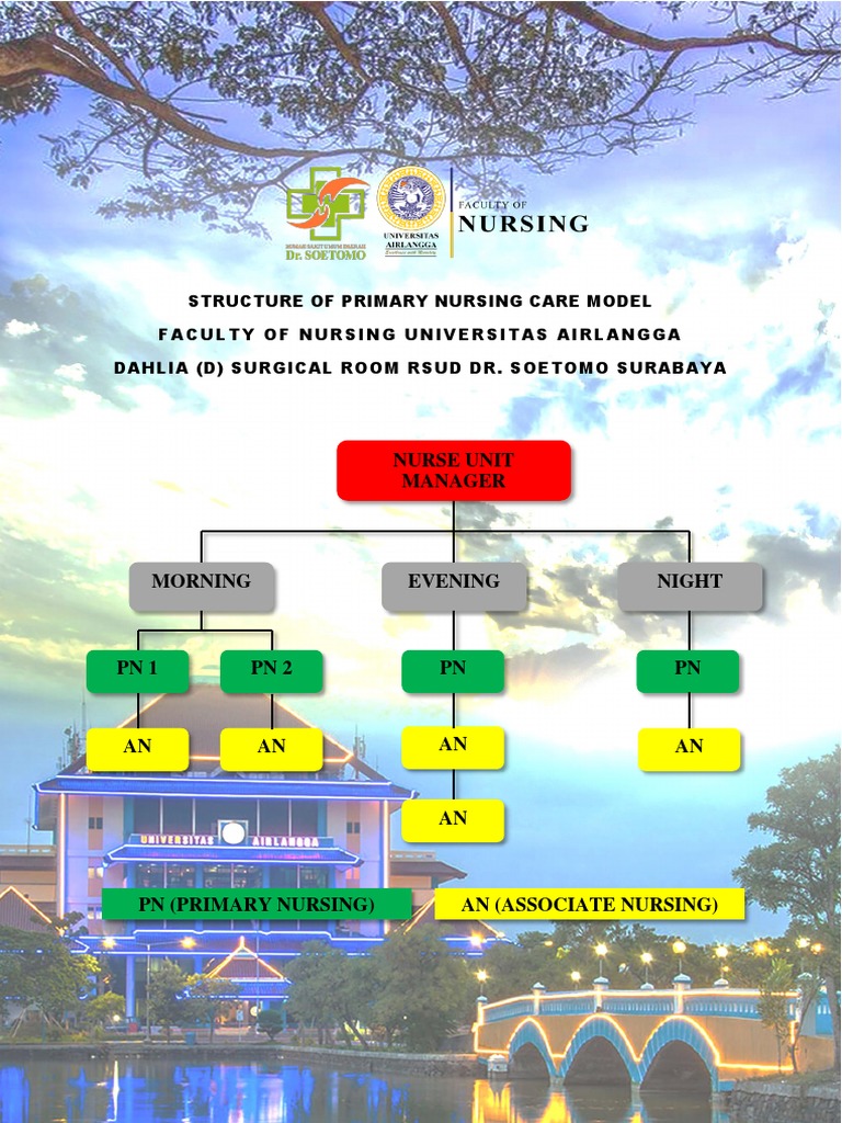 Structure of Primary Nursing Care Model PDF | PDF