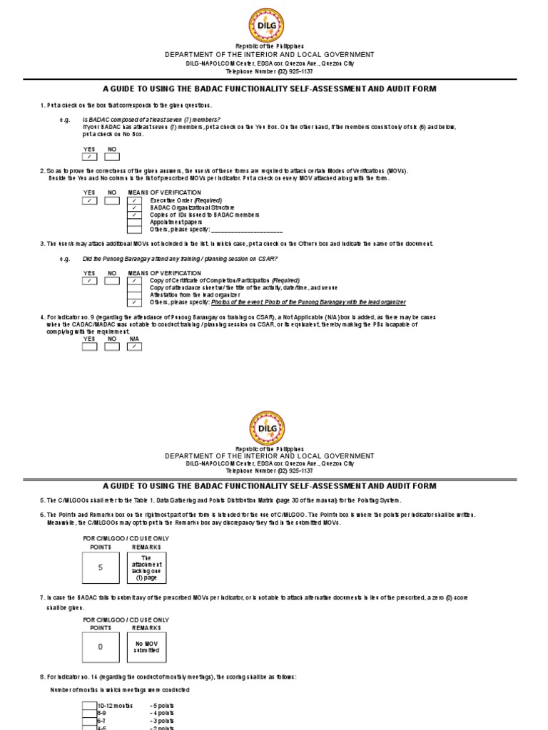 2-A Guide to Answering Badac Self-Assessment and Audit Form | Computing ...