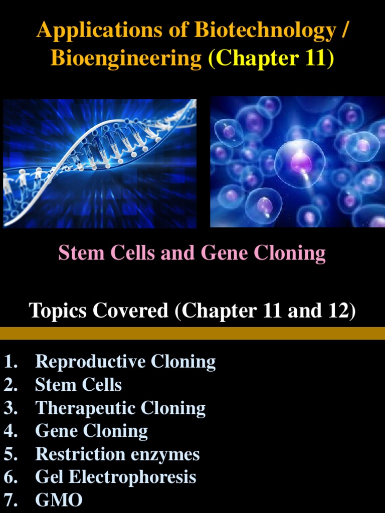 Applications of Biotechnology / Bioengineering: (Chapter 11) | PDF ...