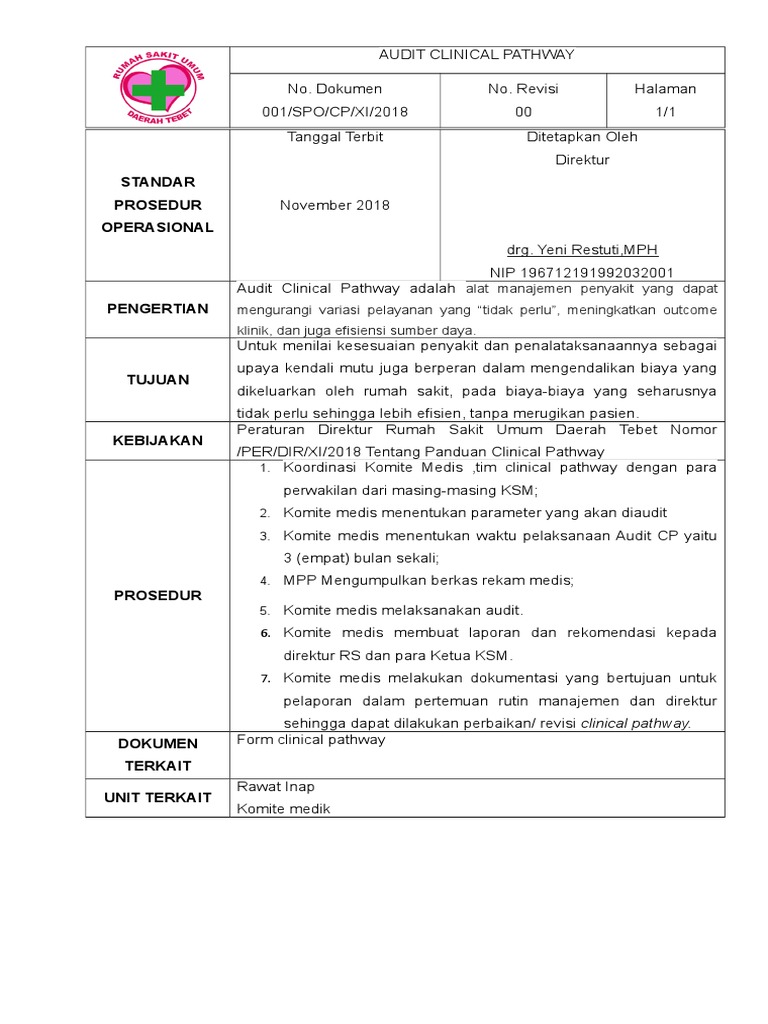 SPO Audit Clinical Pathway | PDF