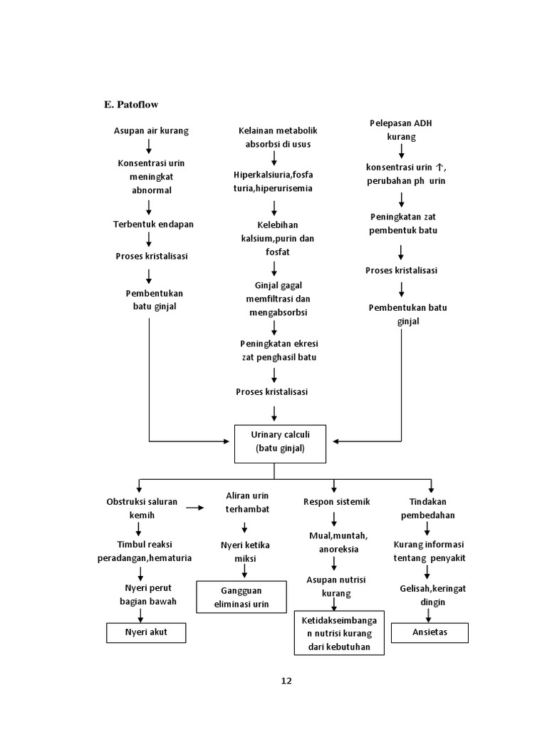 Pathway Batu Ginjal | PDF