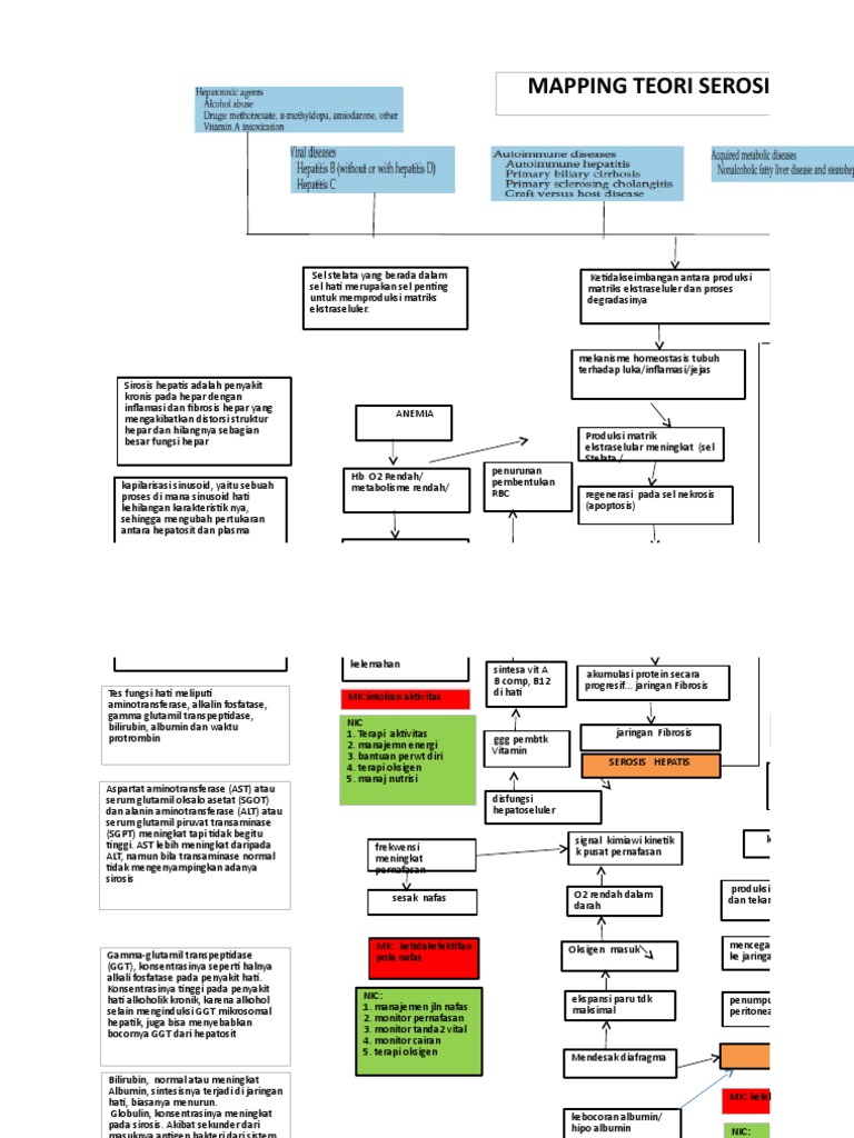 Mapping Serosis Hepatis | PDF