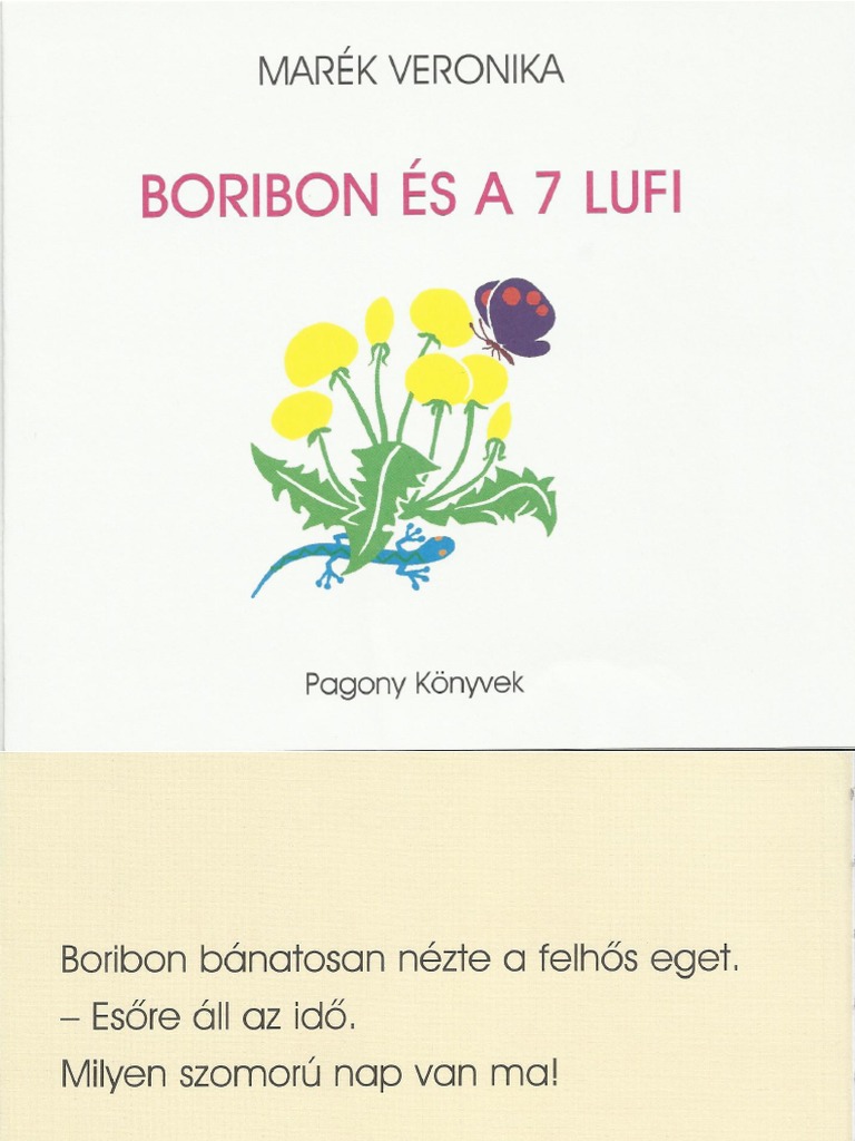 Boribon És A 7 Lufi | PDF
