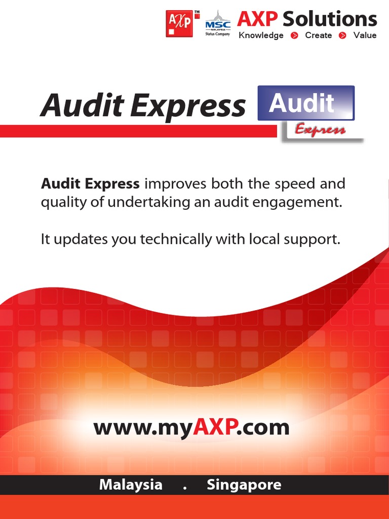 Audit Express - Product Brochure 2010 | PDF | Income Statement ...
