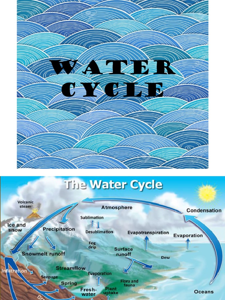 Water Cycle | PDF | Water Cycle | Evaporation