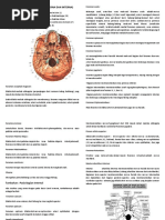 Anatomi Cavum Oris | PDF | Kajian Bahasa Asing