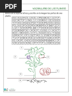 Vocabulario de Las Plantas PDF | PDF