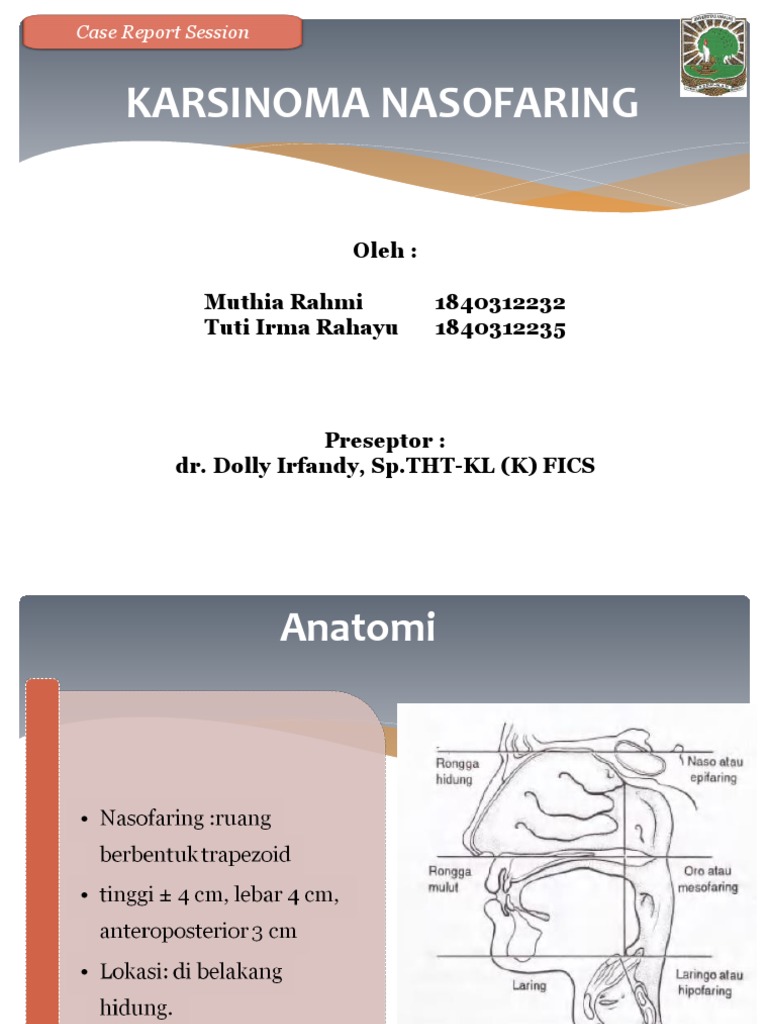 CRS - CA Nasofaring | PDF