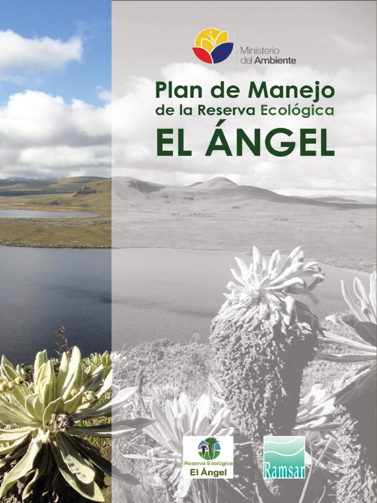 Reserva Ecologica El Angel - Plan de Manejo PDF | PDF | glaciar | Ecuador