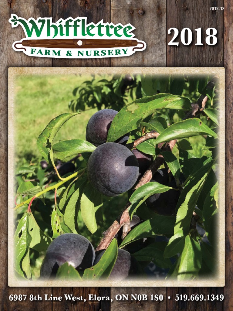 Whiffletree - Catalogue-Hardy Fruit Trees-Automne 2018 | PDF | Apple ...
