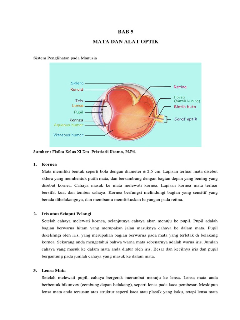 Mata Dan Alat Optik | PDF