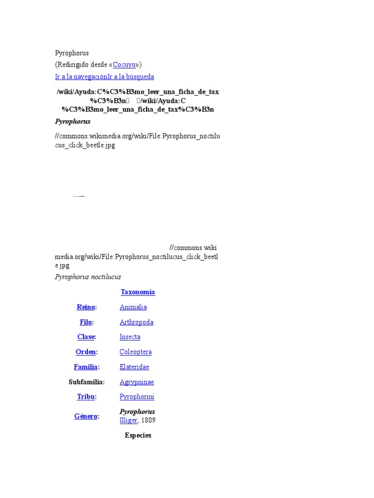 Alimentación y características del cocuyo | PDF | Hexapoda | Insectos