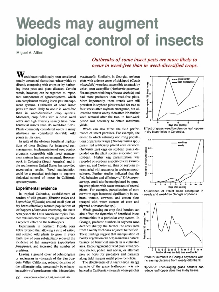 Altieri, 1981. Weeds May Augment Biological Control of Insects | PDF ...