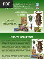 Origen y evolución de los insectos | PDF | Insectos | Escala de tiempo ...